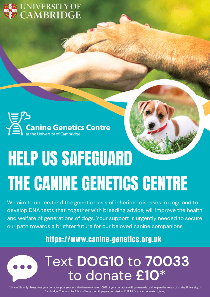 Text to Donate Poster – The Canine Genetics Centre