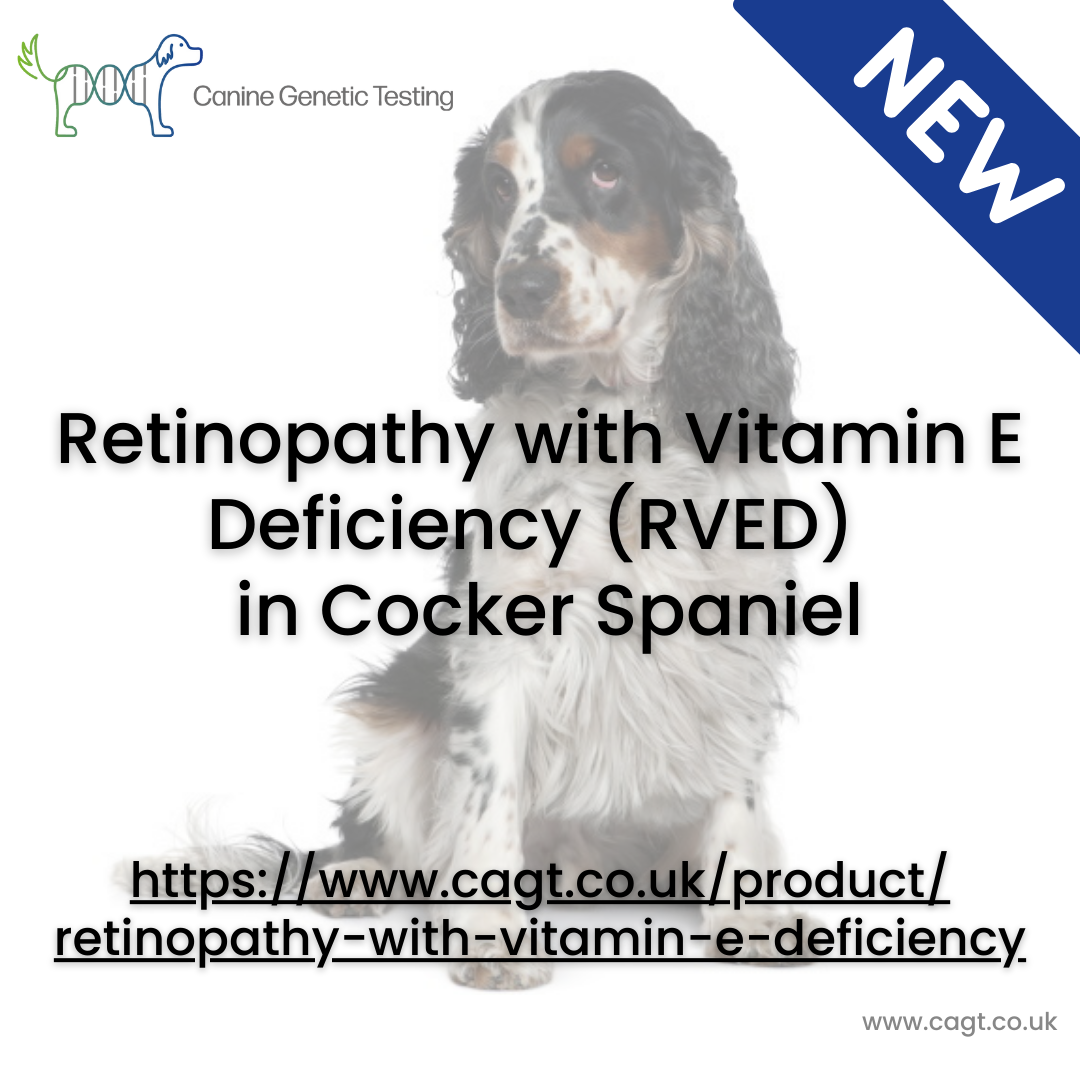 Exciting New DNA Test for Retinopathy with Vitamin E Deficiency (RVED ...