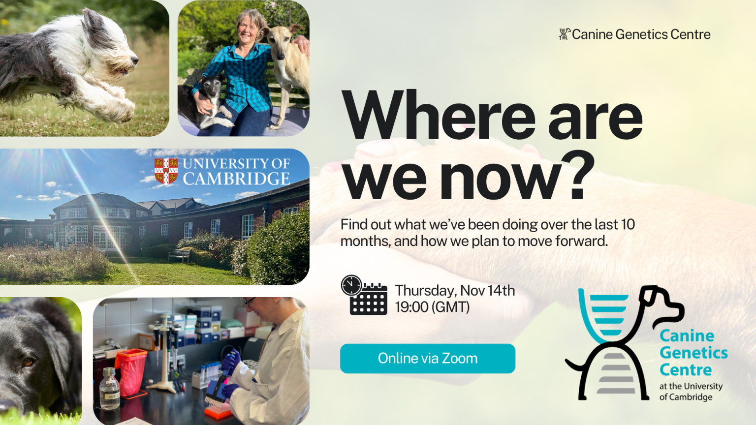 Where are we now? – CGC updates via an online presentation – The Canine ...